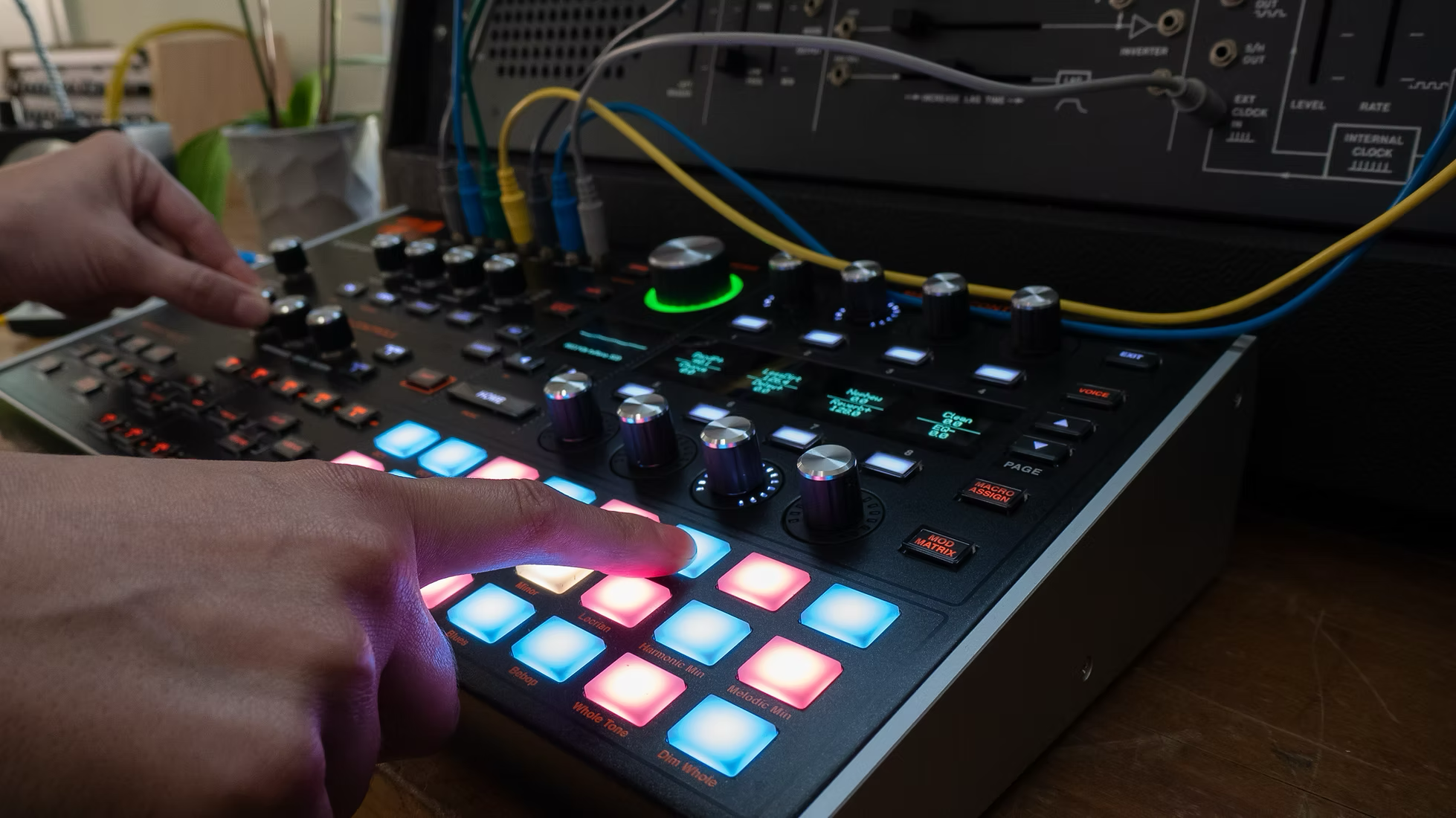 ASM HYDRASYNTH DESKTOP HSDR - SINTETIZADOR WAVETABLE - MÓDULO Tienda en ...
